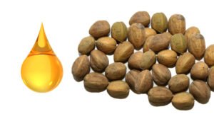 Croton Oil: 10 Best Health Benefits For Better Health