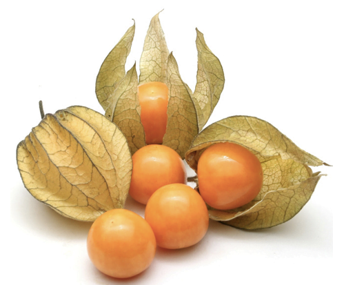 Health Benefits Of Golden Berries