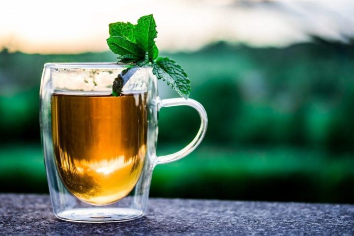 Eucalyptus Tea - Amazing 4 Health Benefits Eucalyptus Tea - Amazing 4 Health Benefits