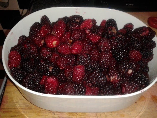 Loganberry Can Treat Skin Problems Like Pimples, Eczema And Acne