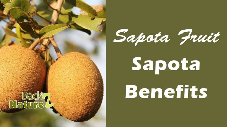 Health Benefits Of Sapota Fruit , Top 13 Health Benefits Of Sapota Fruit
