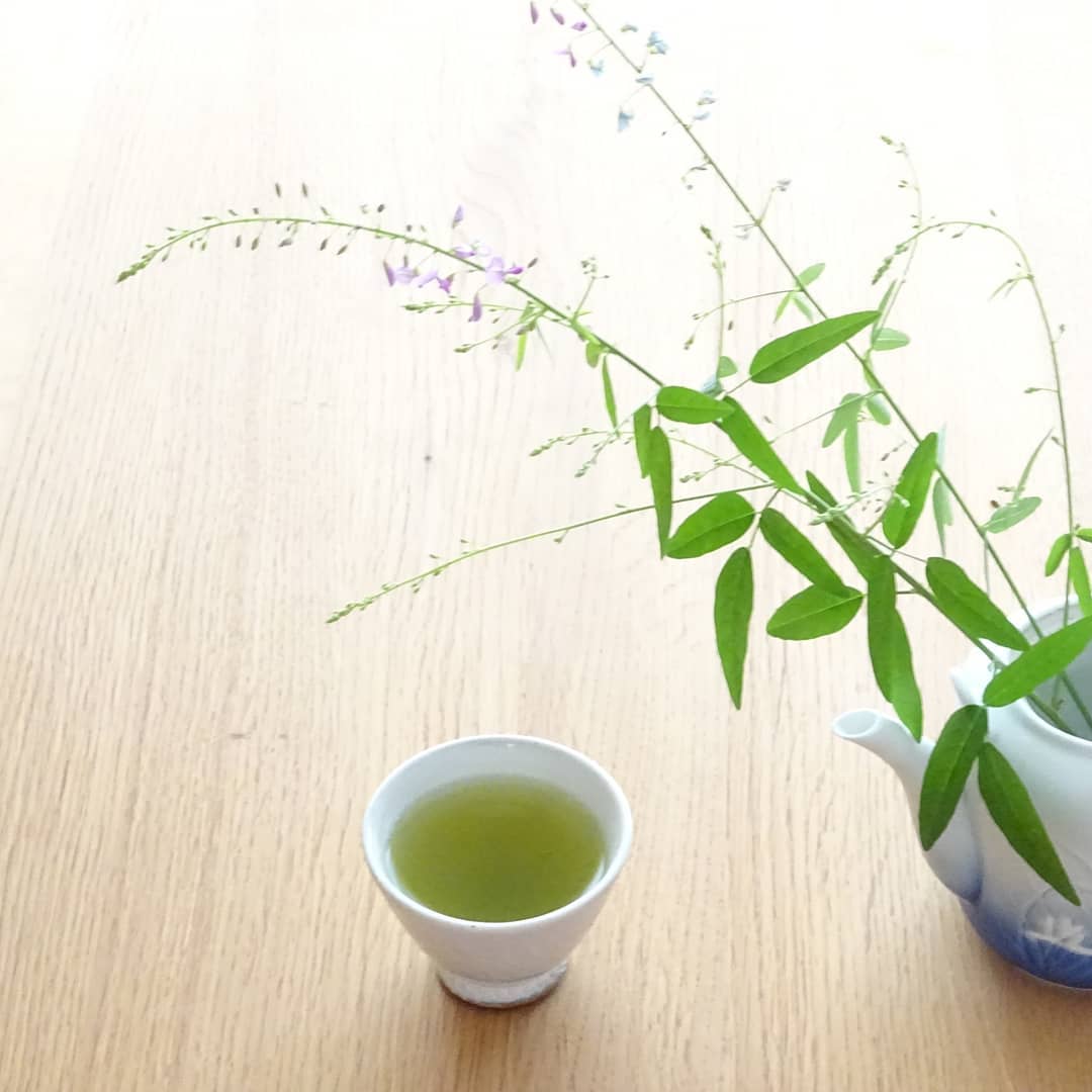 9 Sencha Tea Amazing Benefits You Have To Know