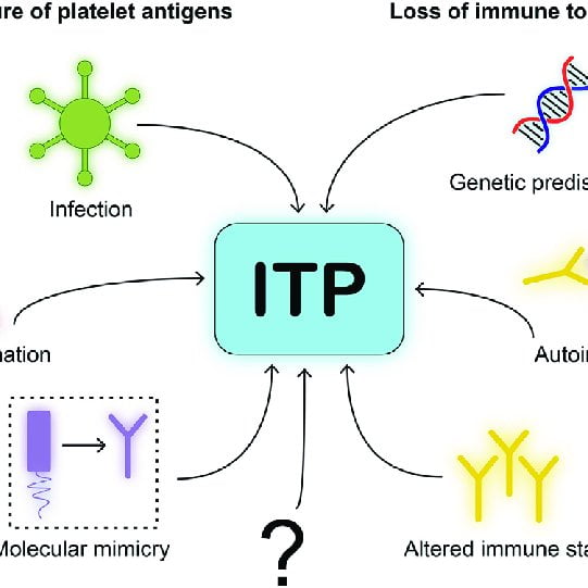 ITP(Immune Thrombocytopenia): Top 23 Natural Treatments