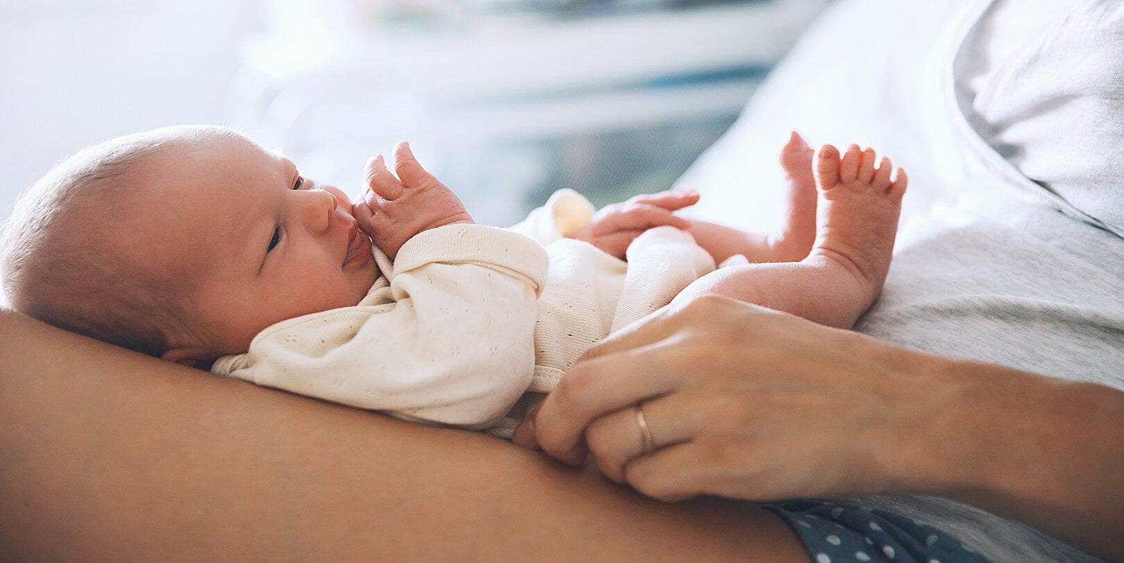 A Day In The Life Of A Newborn