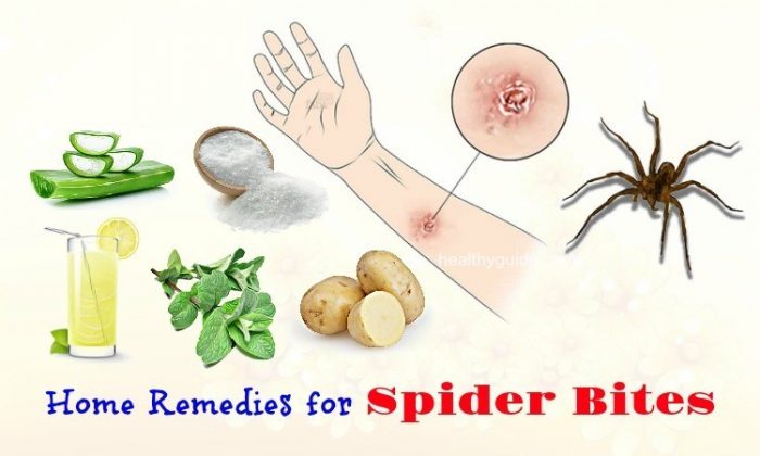 Natural Treatment For Spider Bites - Salt, Lemon And Potatoes