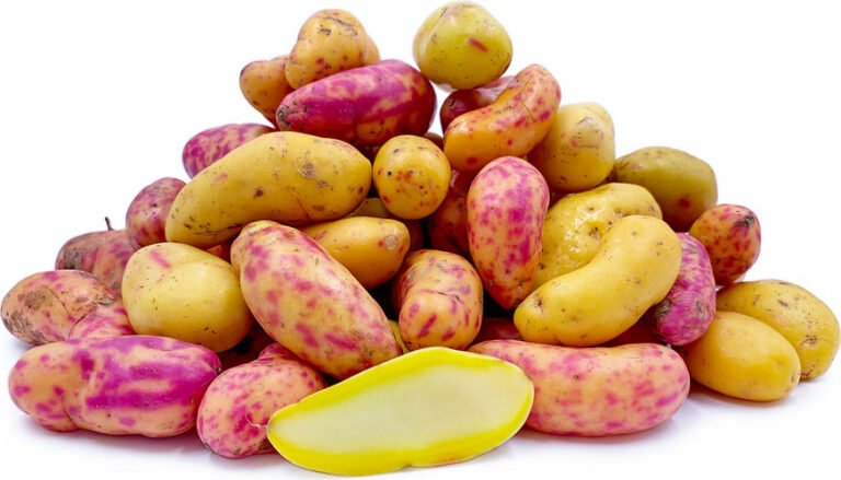 Ulluco: Top 10 Essential Health Benefits