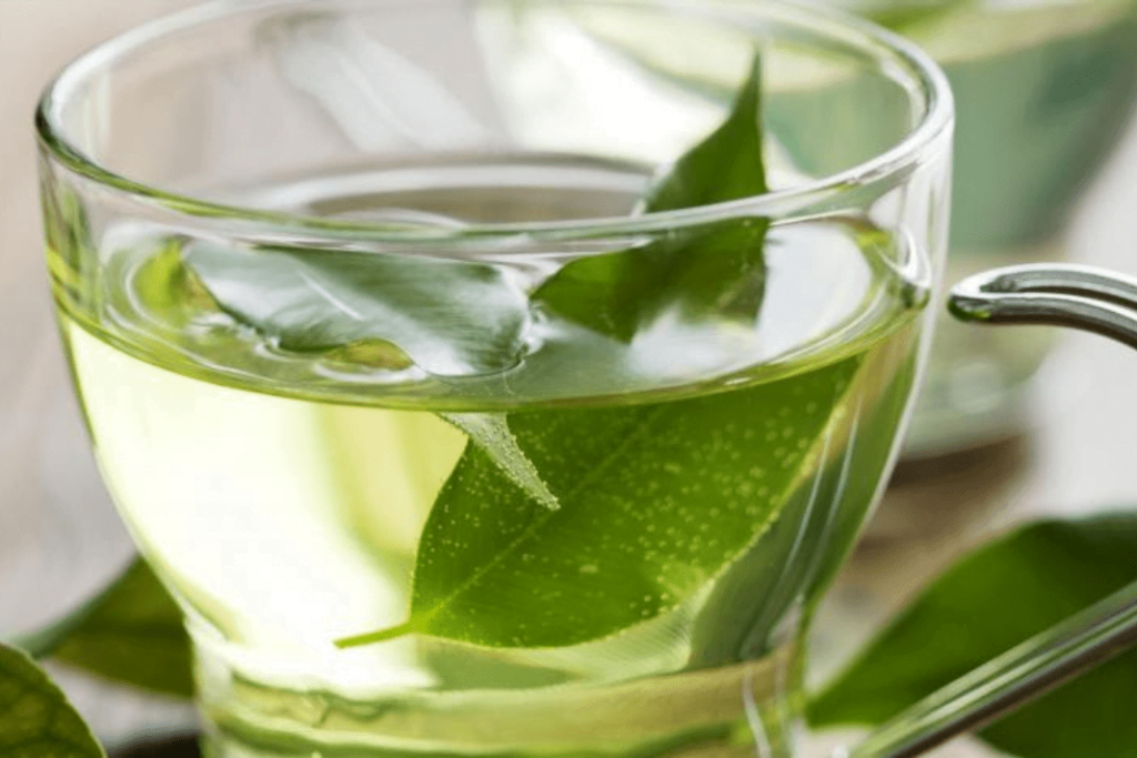 Boldo Tea: Best 4 Health Benefits