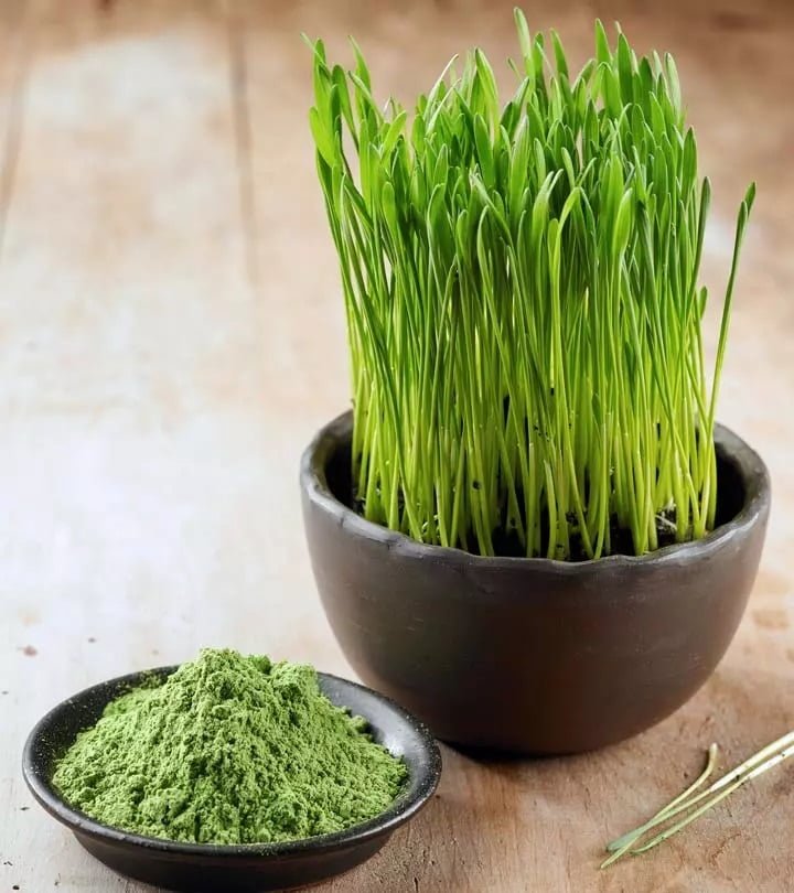 10 Best Health Benefits Of Wheatgrass Powder
