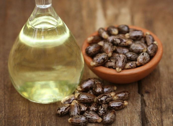 Castor Seed Oil Effective In Treatment Of Gout, Arthritis And Rheumatism.