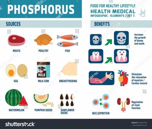 Health Benefits Of Phosphorus - Home Remedies And Natural Treatments In USA